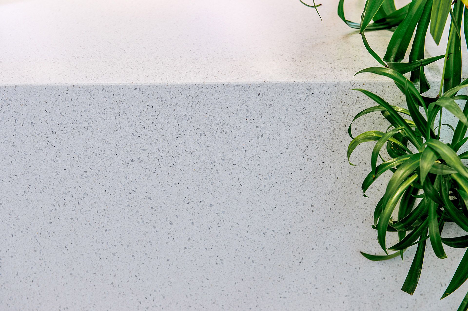 Reception_WhiteStorm_Quartz_poli | Granite Design USA